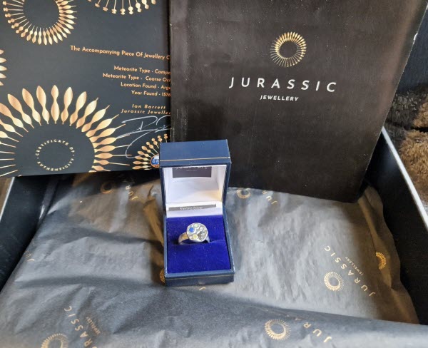 Genuine Meteorite Rings | Cosmic Jewellery – Jurassic Jewellery